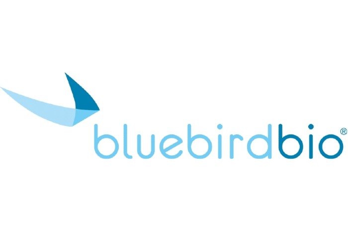 bluebird lets go staff amid financial struggle | Biotechnology | The ...